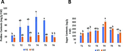 Effect Of Foliar Applications Of Green Synthesized Senps On Biochemical