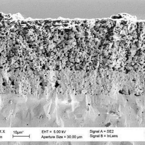 PDF Multilayered Electrolyte Supported SOFC Based On NEVZ Ceramics