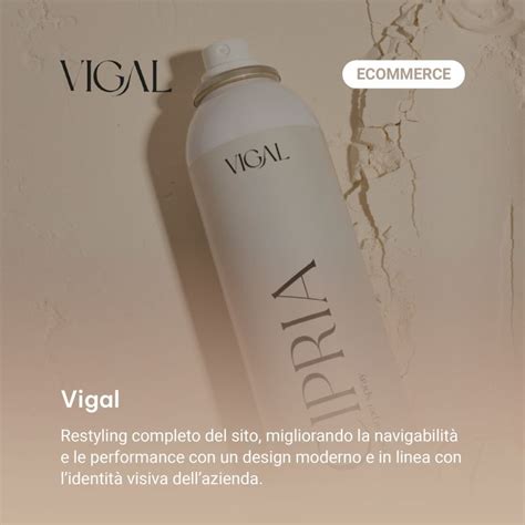💎 Vigal E Commerce The Space