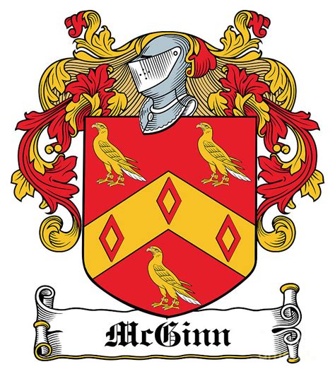 Mcginn Coat Of Arms Irish Digital Art By Heraldry Pixels