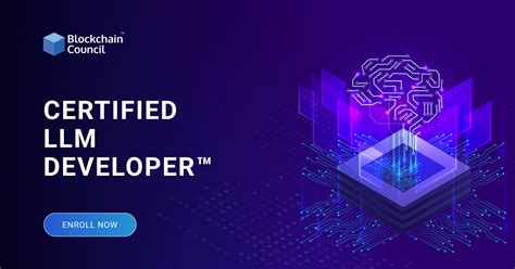 Ecourso Certified LLM Developer