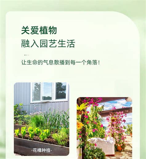 江苏思威博生物科技有限公司 园艺营养土