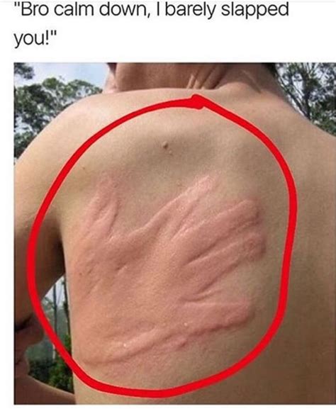 Thanks Red Circle I Totally Wouldnt Have Looked At The Centwr Of The Photo R Uselessredcircle