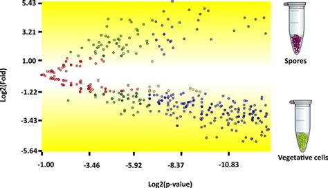 Volcano Plot Of The Comparative Proteomics Analysis Between Spore And