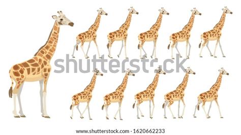 giraffe run cycle animation sequence frames for animation