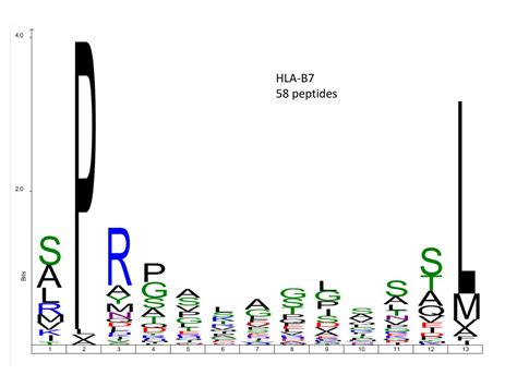 Ppt Hla A2 61 Peptides Powerpoint Presentation Free Download Id