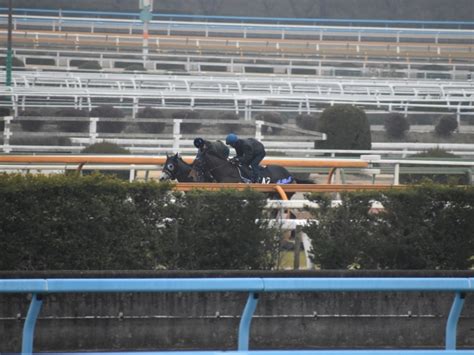 アドマイヤジャスタ、すみれsへ向けて始動栗東トレセンニュース 競馬ニュース