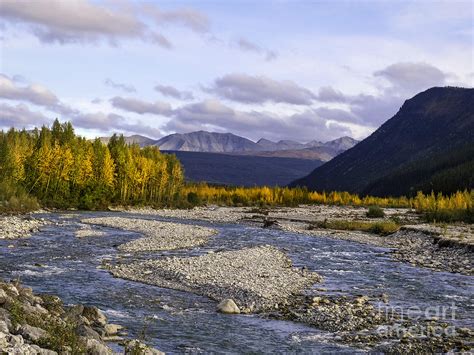 Toad River British Columbia Photograph By Teresa A And Preston S Cole