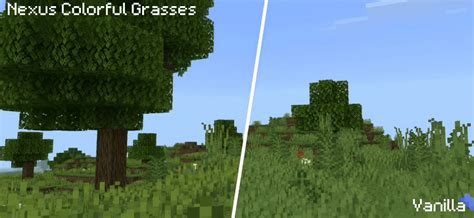 Nexus Colorful Grasses Minecraft Bedrock Texture Packs Curseforge