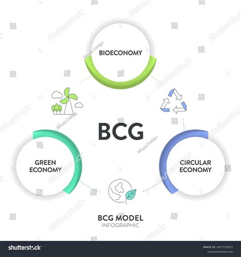 Bcg Strategy Over 103 Royalty Free Licensable Stock Illustrations