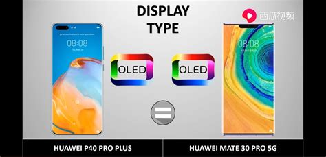 P Pro Vs Mate Pro P