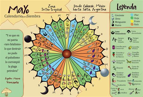 Wairua 🍀 Calendario Lunar Para Siembra 🌙