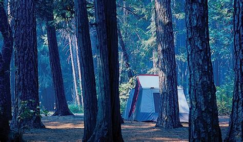 10 Northern Michigan State Forest Campgrounds You Want On Your List