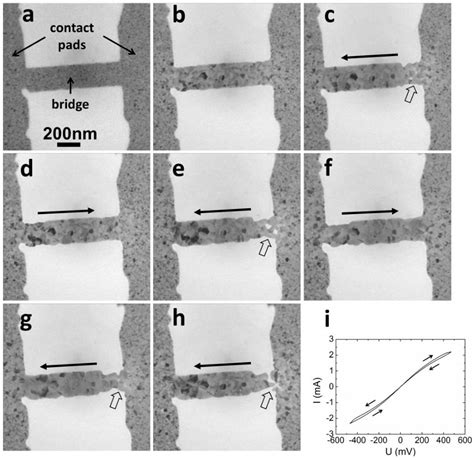 Figure 2 3 From In Situ Transmission Electron Microscopy Investigations
