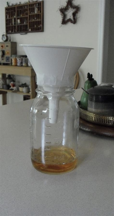 Pesky Fruit Flies