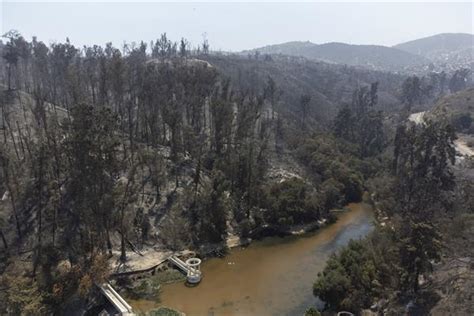 La Intencionalidad De Los Incendios En Chile Está Completamente