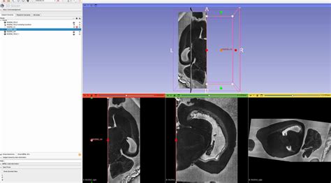 Flipped Volume On 3d View But Correct On Redgreenyellow Support