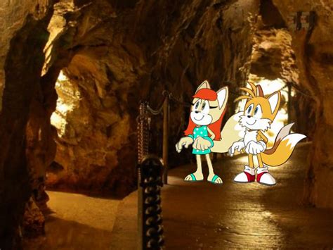 Tails And Carolina Goes To Linville Caverns By Nhwood On Deviantart