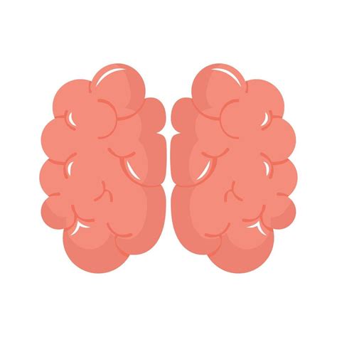 Human Brain Design 21399217 Vector Art At Vecteezy