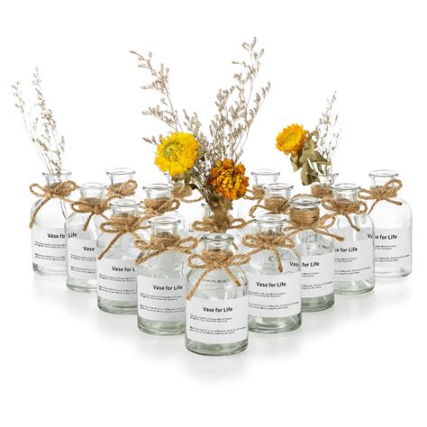 Clear Glass Bud Vase For Centerpieces Glasseam Official Site