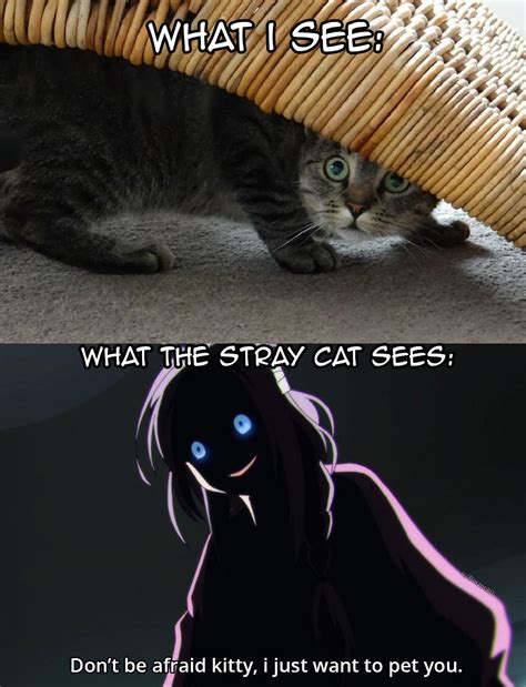 Come Here Kitty Ranimemes