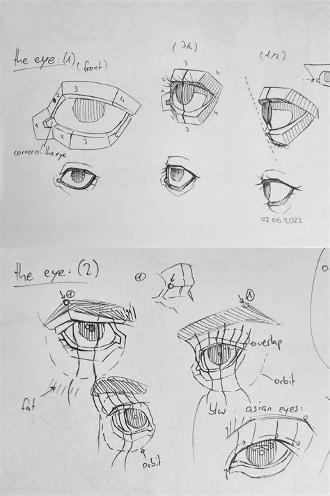 Eye Drawing Tutorial Getting To Know The Structure Of The Eye Anatomie Zeichnung Zeichnung