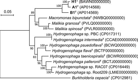Phylogenomic Relationship Based On Concatenated Alignment Of Amino Acid