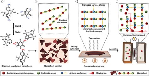 Schematic Of Ion Transport Enhanced By The Combination Of Intrinsic And Download Scientific
