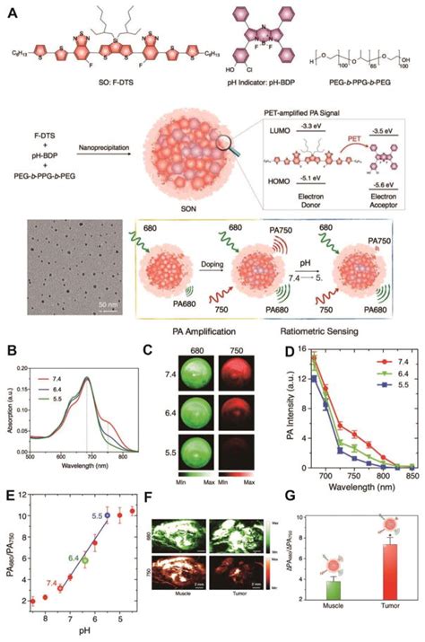 Ratiometric Optical Nanoprobes Enable Accurate Molecular Detection And