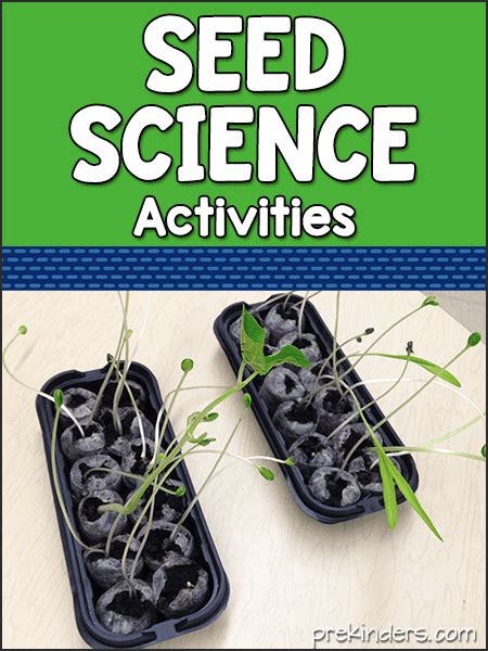 Plants Seeds Science Activities PreKinders Prebabe Activities