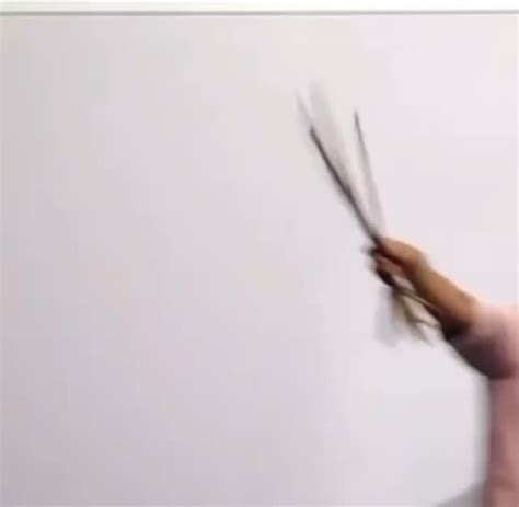 Instagram Photo By 👊බොක්ක👌 • Feb 20 2025 At 5 38 Pm