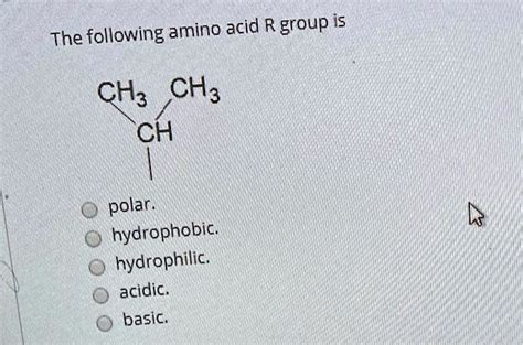 Solved The Following Amino Acid R Group Is Ch3 Ch Ch Polar