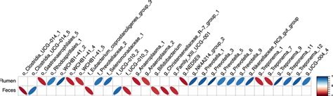 Correlation Analysis Showing Strong Associations Between Differentially Download Scientific