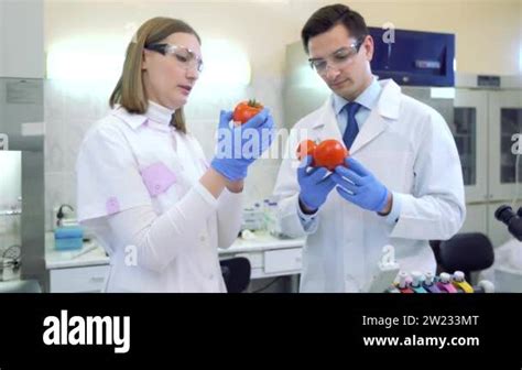 Laboratory Workers Examining Fruits And Vegetables And Making Analysis For Pesticides And