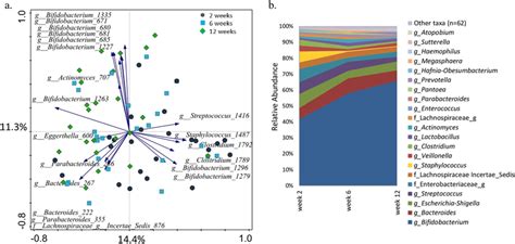 Infant Faecal Microbiota Composition A Pca Showing Spatial Download Scientific Diagram