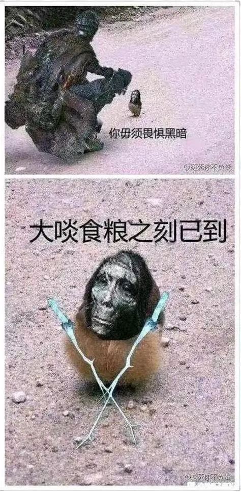 黑暗之魂重制版part 3 我认为人性之恶是我最恐惧的东西宫崎英高如是说 3楼猫
