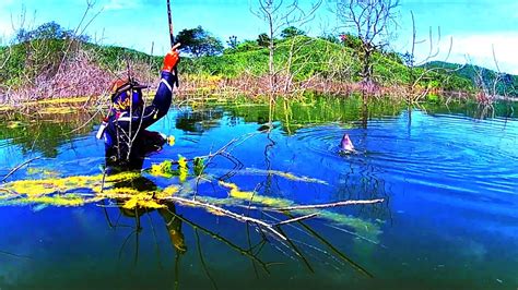 TERBARU Mancing Waduk Gongseng Bendungan Gongseng Bojonegoro