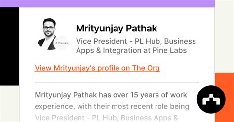Mrityunjay Pathak Vice President Pl Hub Business Apps
