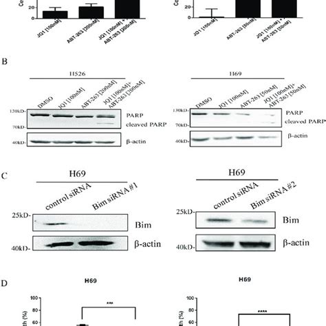 A Jq1 Inhibits N Myc And C Myc Expression In Mycn And Myc Amplified
