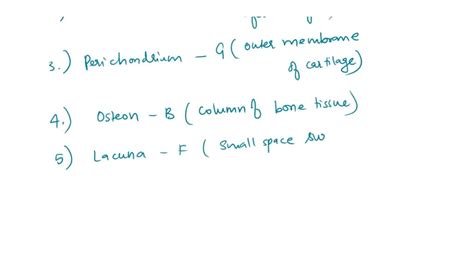 Solved Matching Match Each Structure Listed On The Left With The Correct Description On The