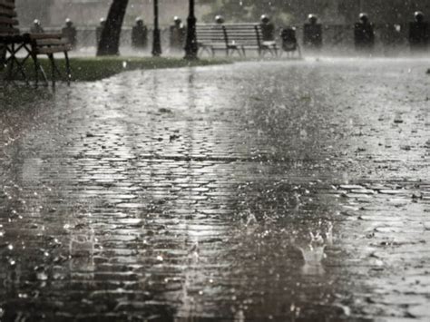 Imd Monsoon Forecast महाराष्ट्रात मुसळधार पावसासोबत आणखी एक मोठं संकट