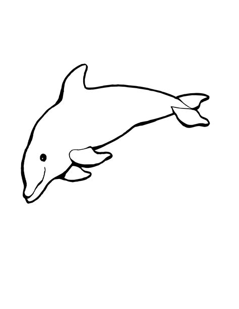 146 dessins de coloriage dauphin à imprimer sur LaGuerche Page 1