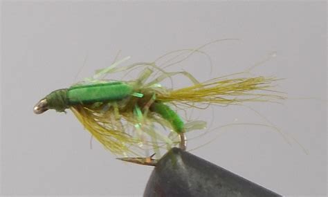 Buy Uv Straggle Olive Size 14 Diawl Bach From Premier Flies