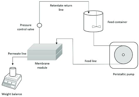 Schematic Diagram Of The Permeation Rig Download Scientific Diagram