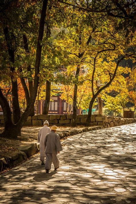 Walk In The Fall Colors At Tongdosa Temple In Yangsan South Korea