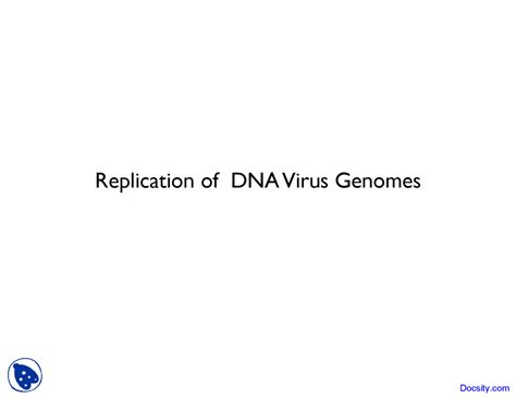 Virus Genomes Human Resource Lecture Slides Docsity