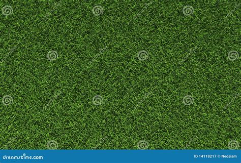Grass Texture Stock Image 14118217