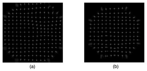 An Example Of The Simulated Spot Images Generated By Download