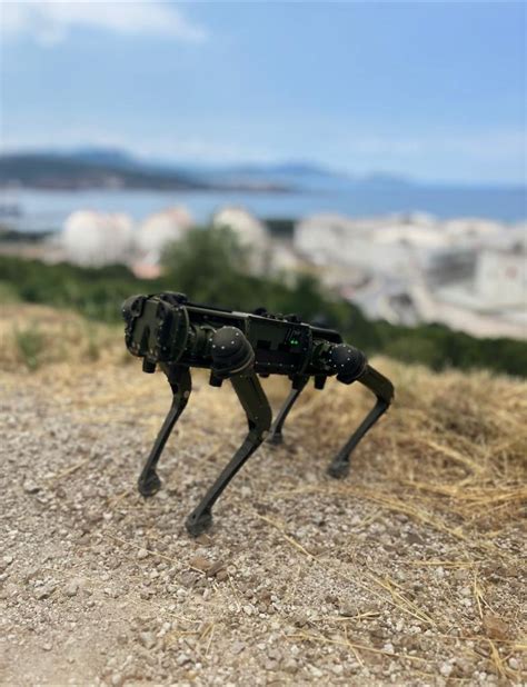 Rovshan Gurbanov On Linkedin Robots Robotics Technologytrends