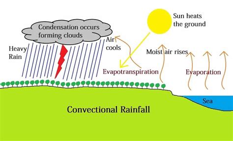 Types Of Rainfall Diagrams My Xxx Hot Girl
